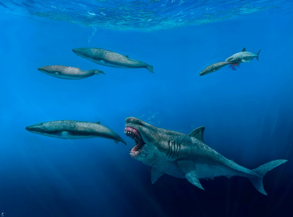 Scientists are shocked to find a 50-foot-long 'megalodon' in the ...